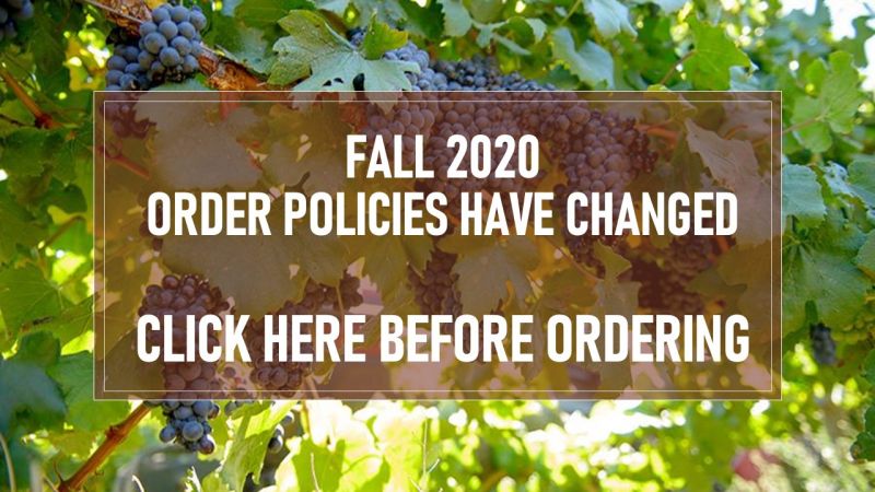 Consumer Fresh Winemakers | Winemaking grapes, juice, equipment, and ...